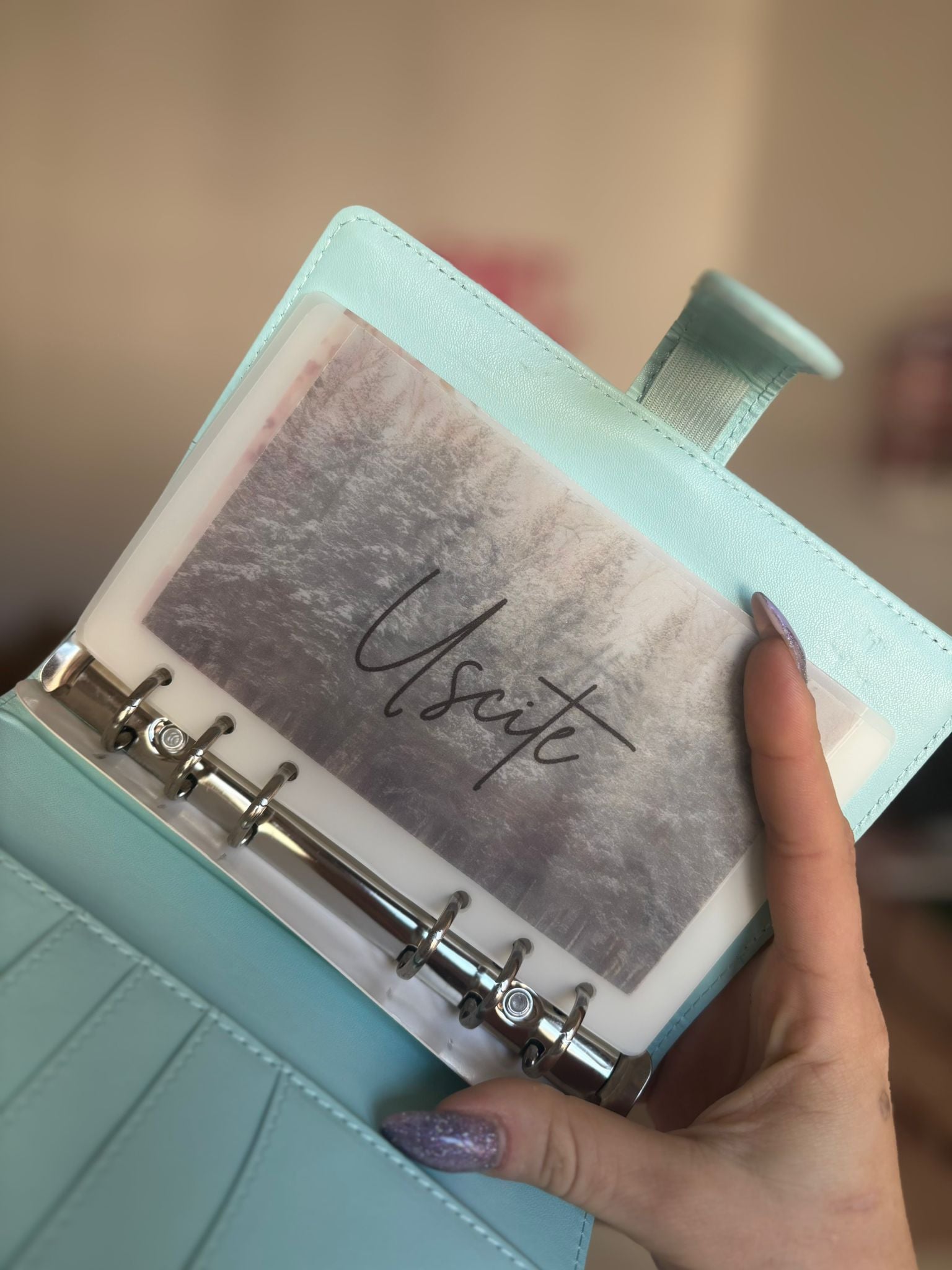 Sezioni/Buste – BudgetwithJoy